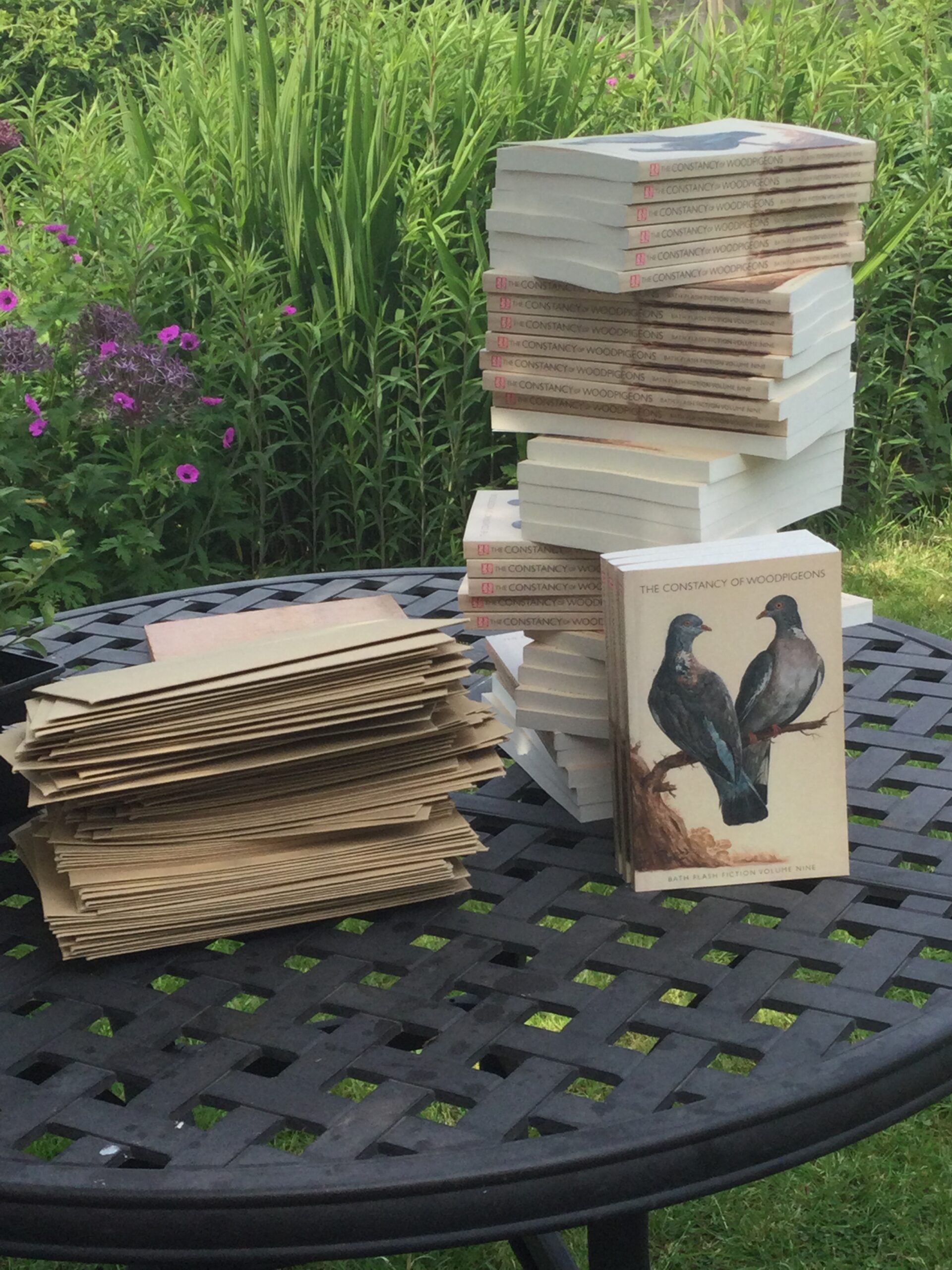 Back from the Printers! BFFA vol nine: The Constancy of Woodpigeons ...